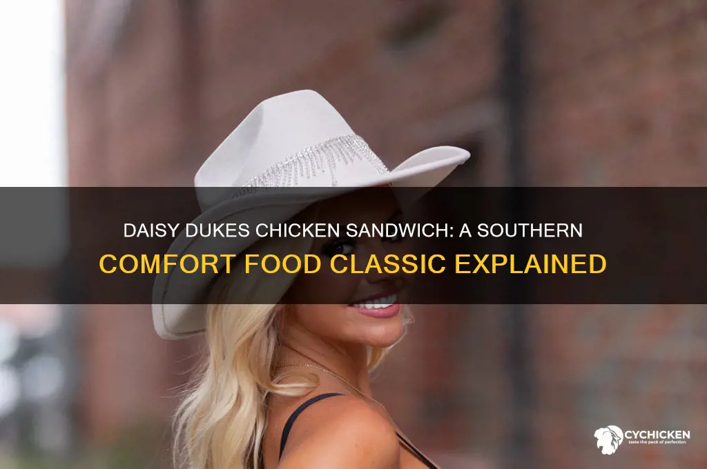 Daisy Dukes Chicken Sandwich: A Southern Comfort Food Classic Explained ...