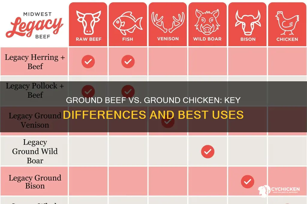 Ground Beef Vs. Ground Chicken: Key Differences And Best Uses | CyChicken