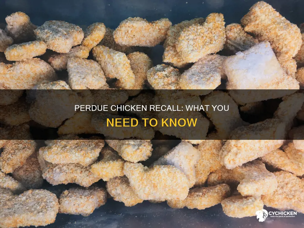 Perdue Chicken Recall: What You Need To Know | CyChicken