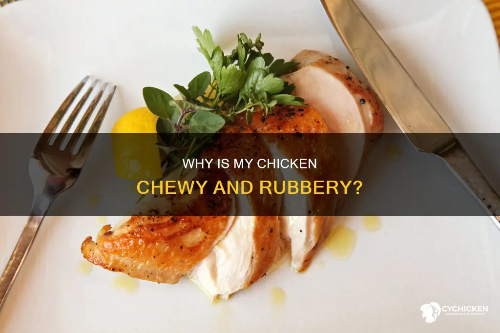Why Is My Chicken Chewy And Rubbery? | CyChicken