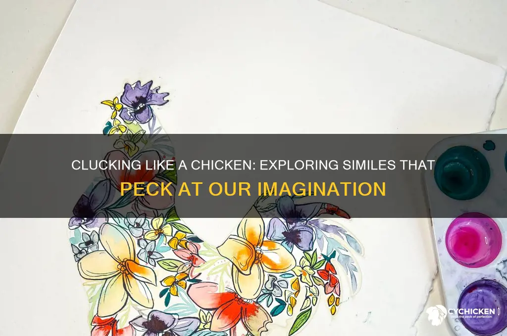 Clucking Like A Chicken: Exploring Similes That Peck At Our Imagination ...