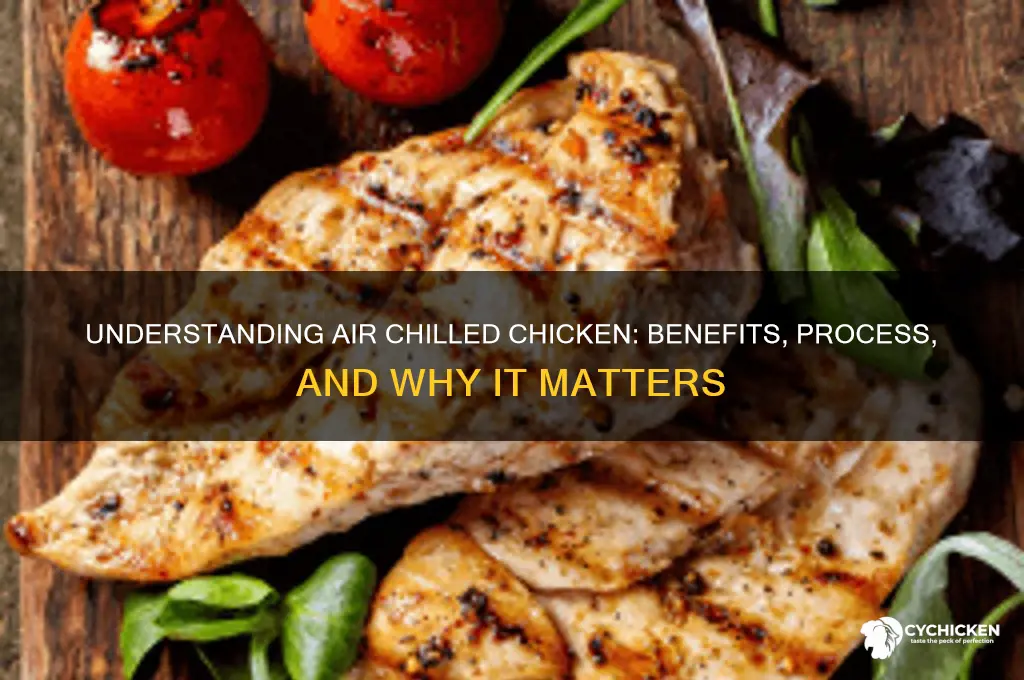 Understanding Air Chilled Chicken: Benefits, Process, And Why It ...