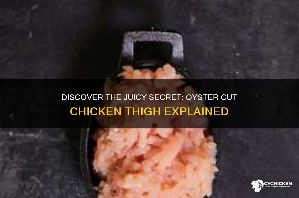 Discover The Juicy Secret: Oyster Cut Chicken Thigh Explained | CyChicken