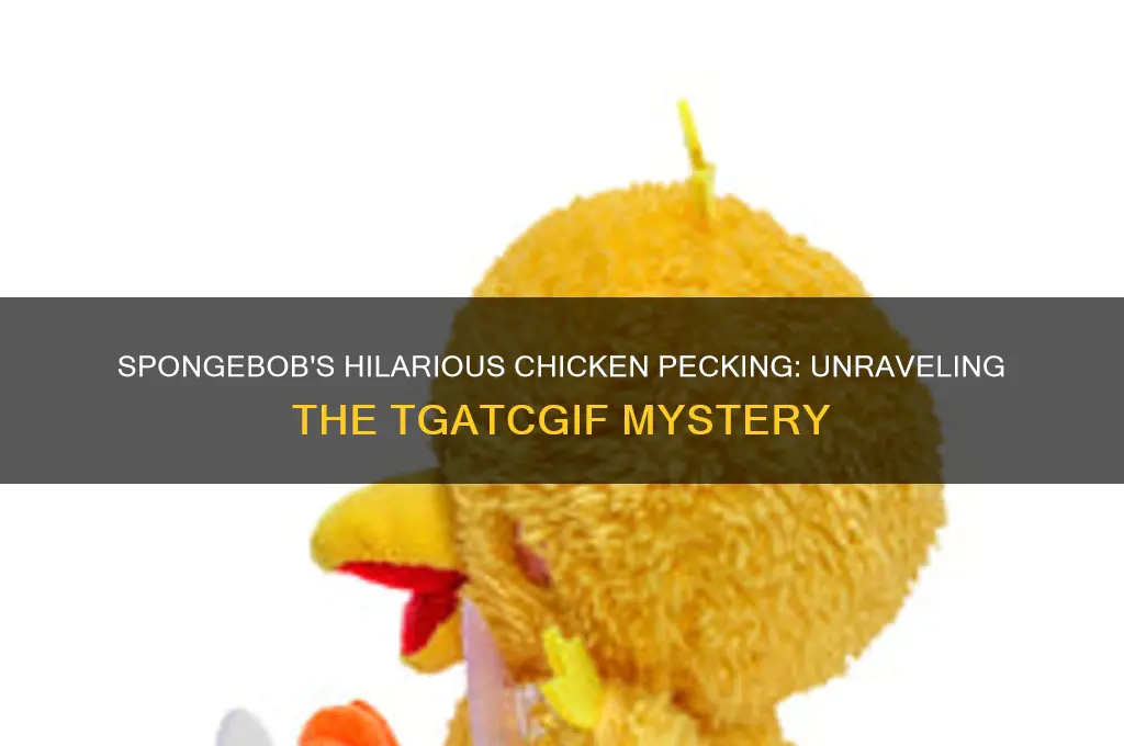 Spongebob's Hilarious Chicken Pecking: Unraveling The Tgatcgif Mystery ...