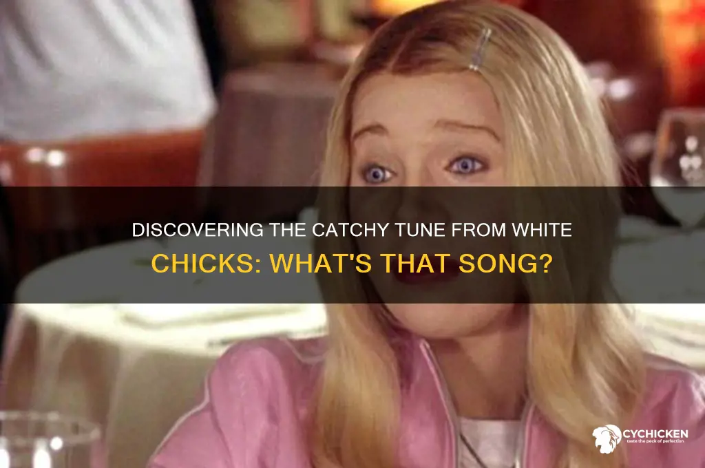 Discovering The Catchy Tune From White Chicks: What's That Song ...