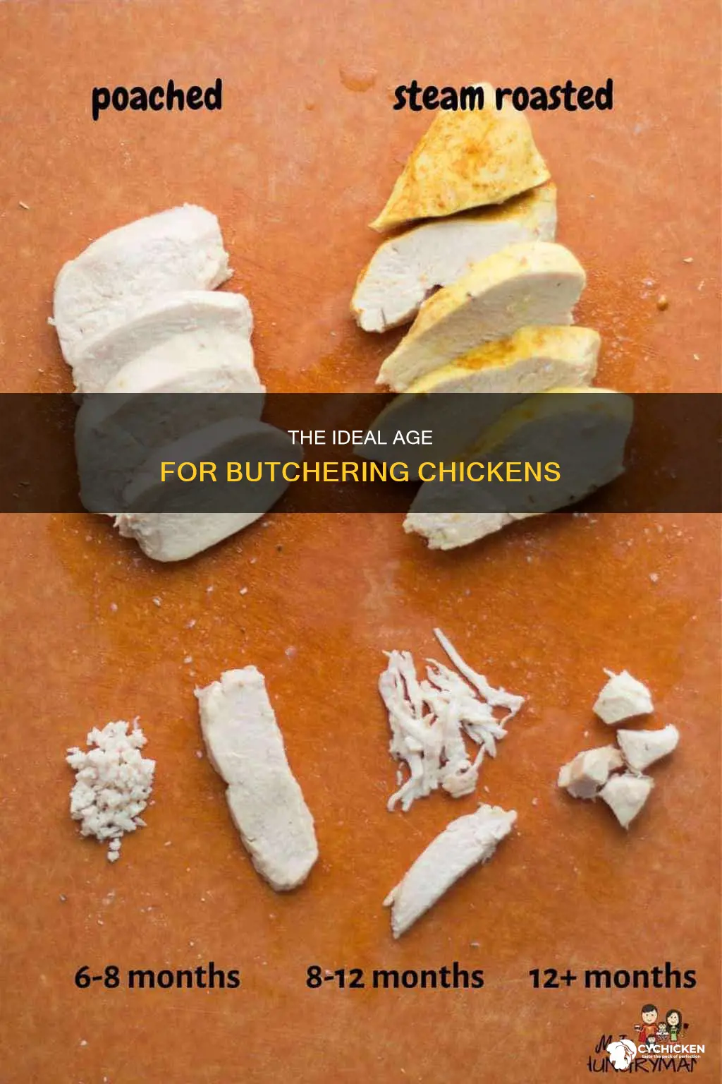 The Ideal Age For Butchering Chickens | CyChicken