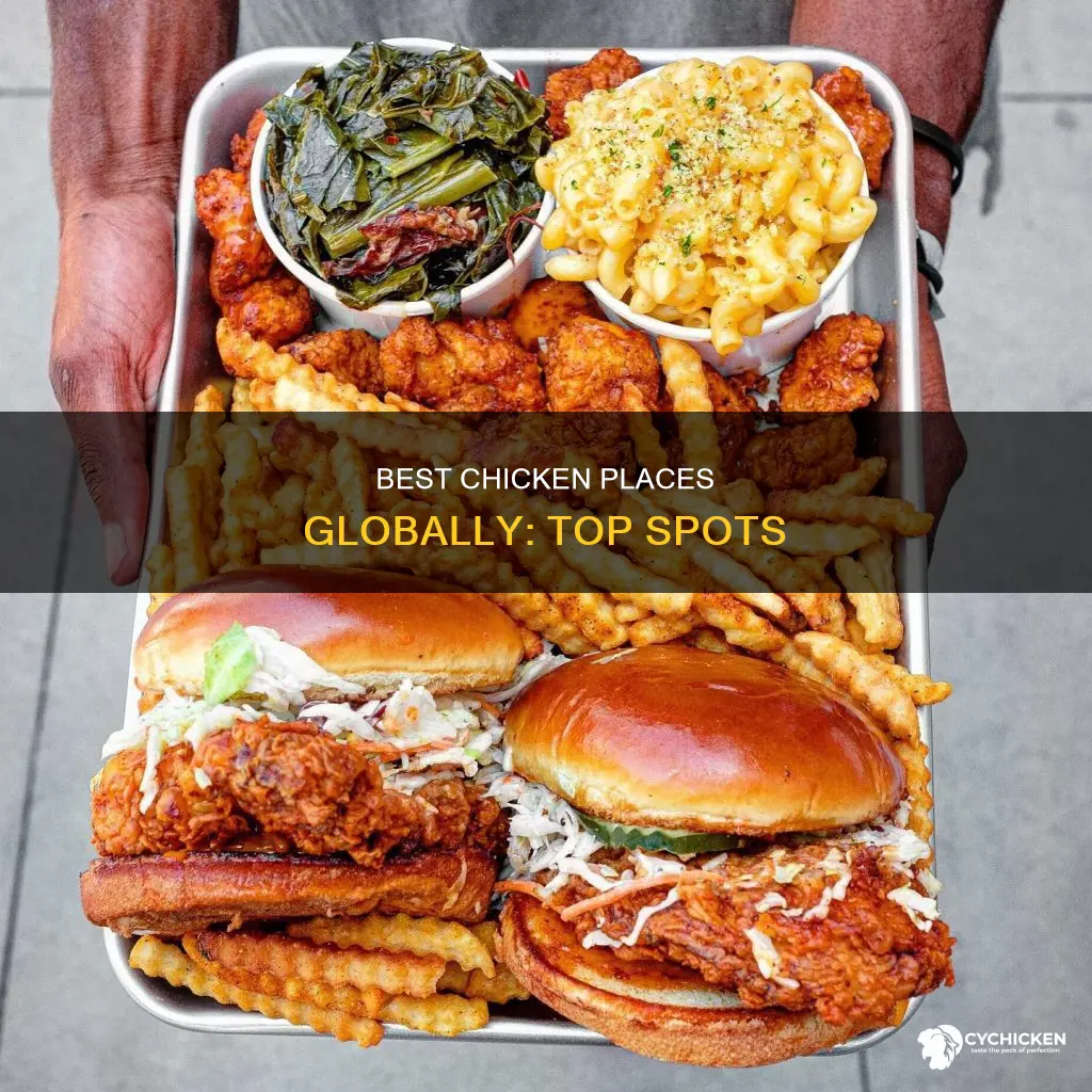 Best Chicken Places Globally: Top Spots | CyChicken