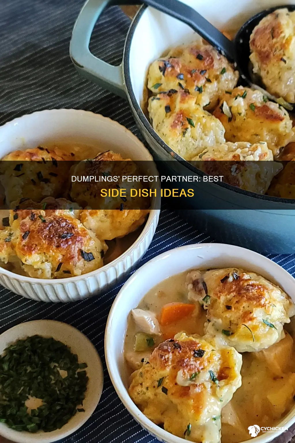Dumplings' Perfect Partner: Best Side Dish Ideas | CyChicken