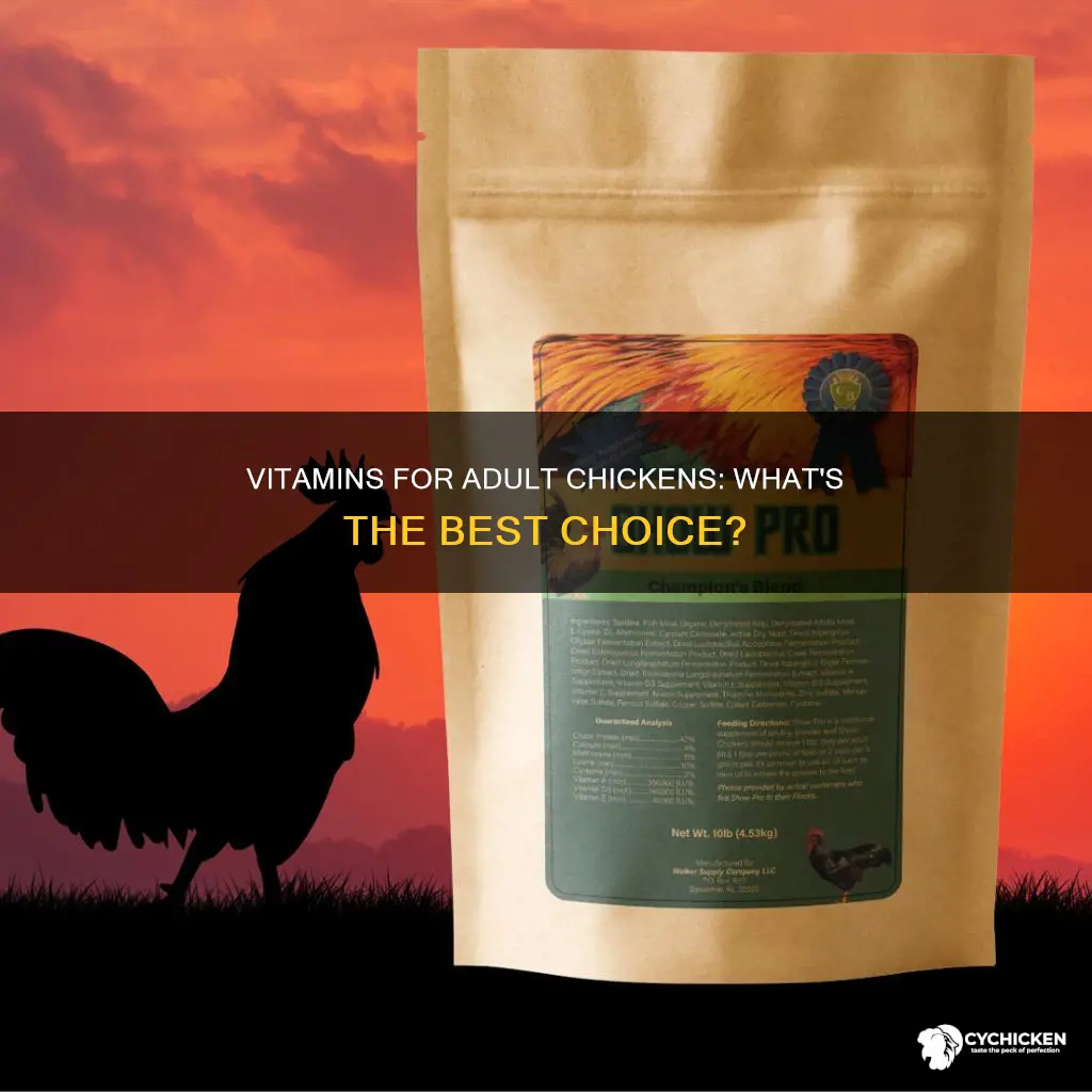 Vitamins For Adult Chickens: What's The Best Choice? | CyChicken