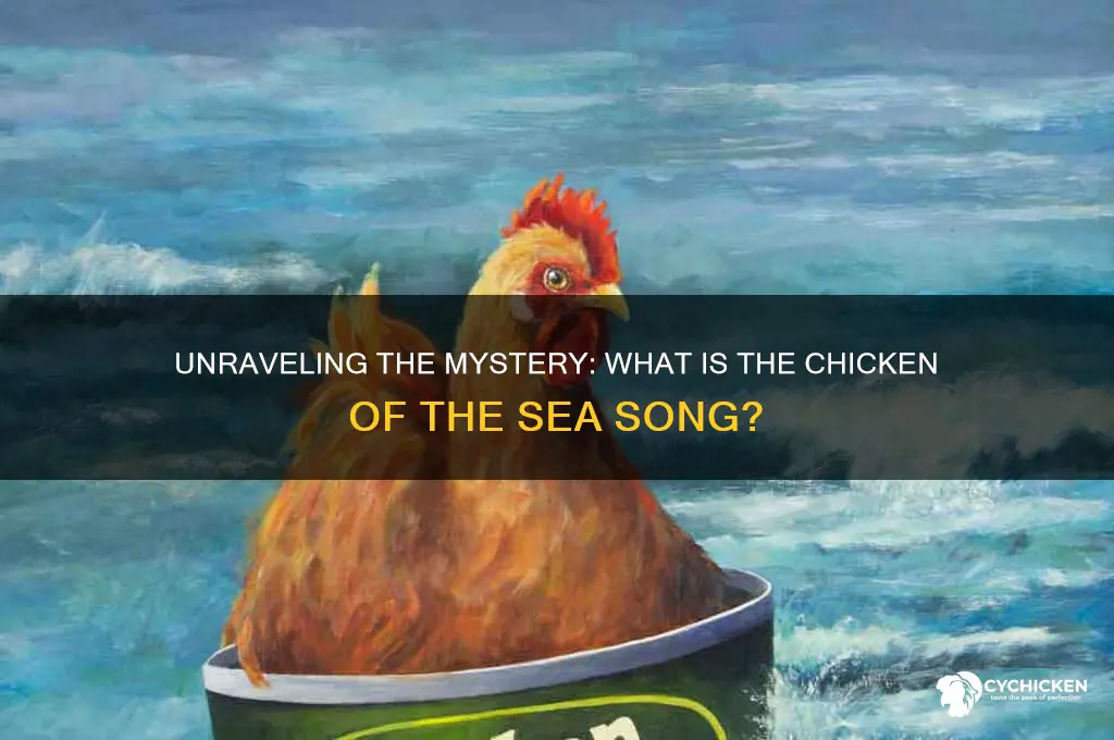 Unraveling The Mystery: What Is The Chicken Of The Sea Song? | CyChicken