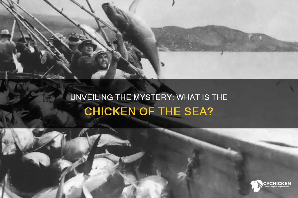 Unveiling The Mystery: What Is The Chicken Of The Sea? | CyChicken