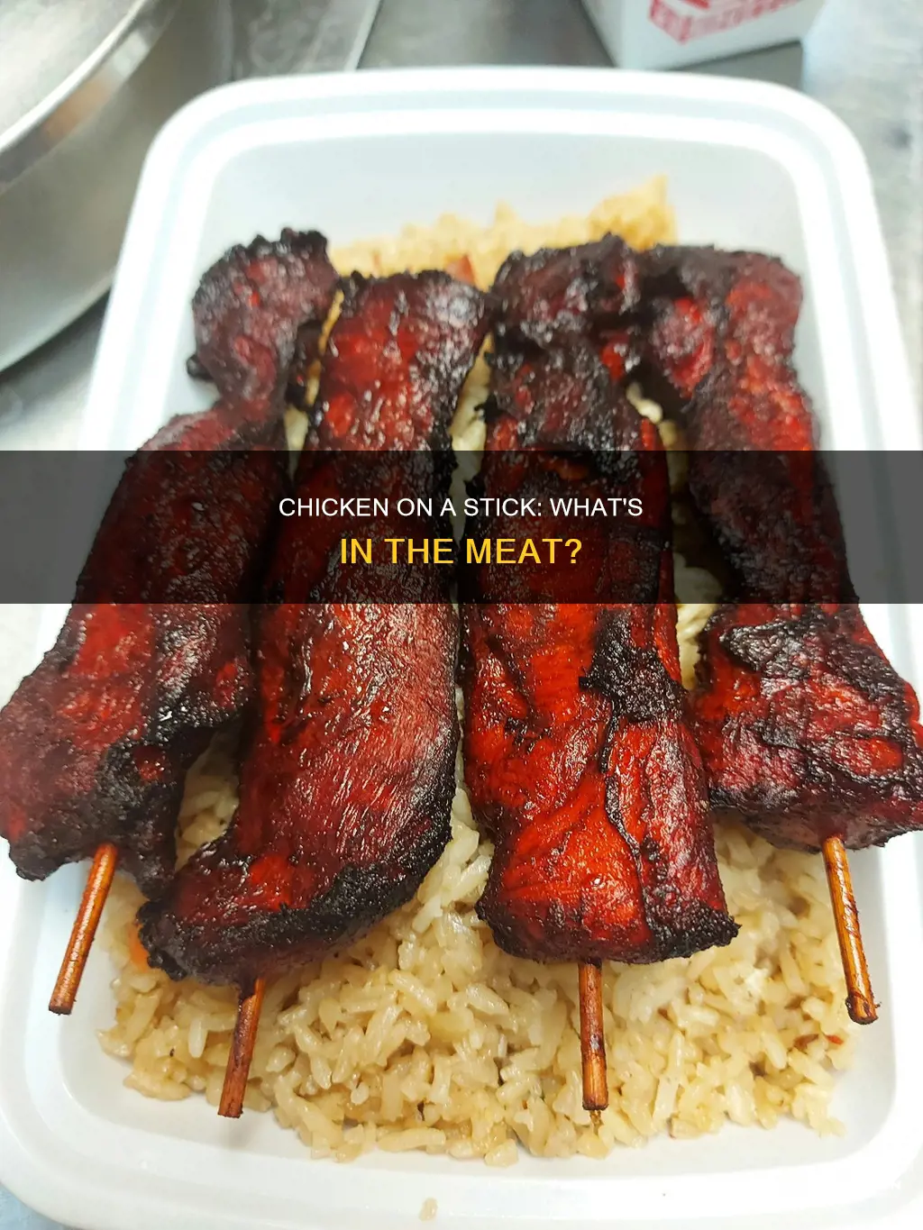 Chicken On A Stick: What's In The Meat? | CyChicken