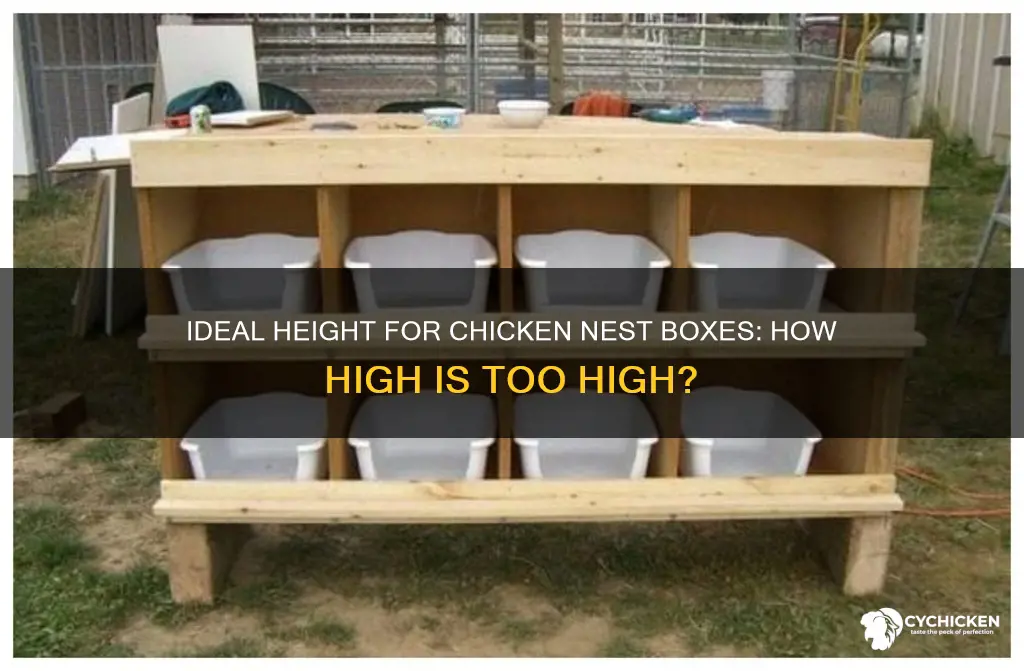 Ideal Height For Chicken Nest Boxes: How High Is Too High? | CyChicken