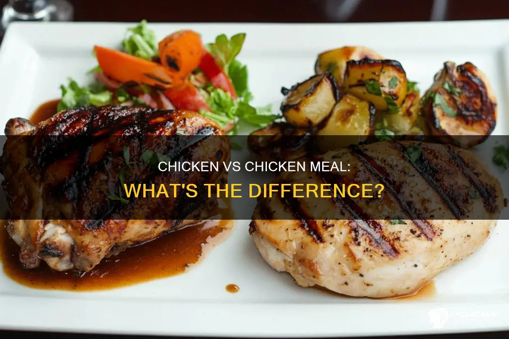 Chicken Vs Chicken Meal: What's The Difference? | CyChicken