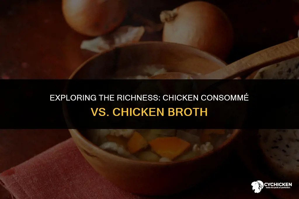 Exploring The Richness: Chicken Consommé Vs. Chicken Broth | CyChicken