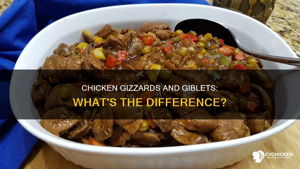 Chicken Gizzards And Giblets: What's The Difference? | CyChicken