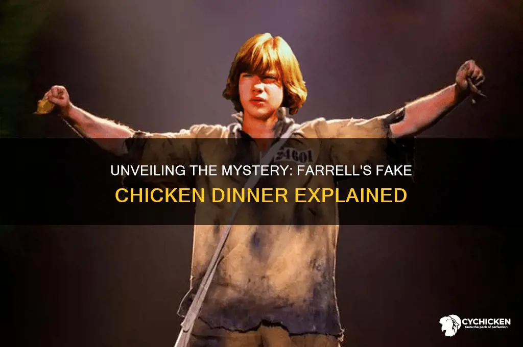 Unveiling The Mystery: Farrell's Fake Chicken Dinner Explained | CyChicken