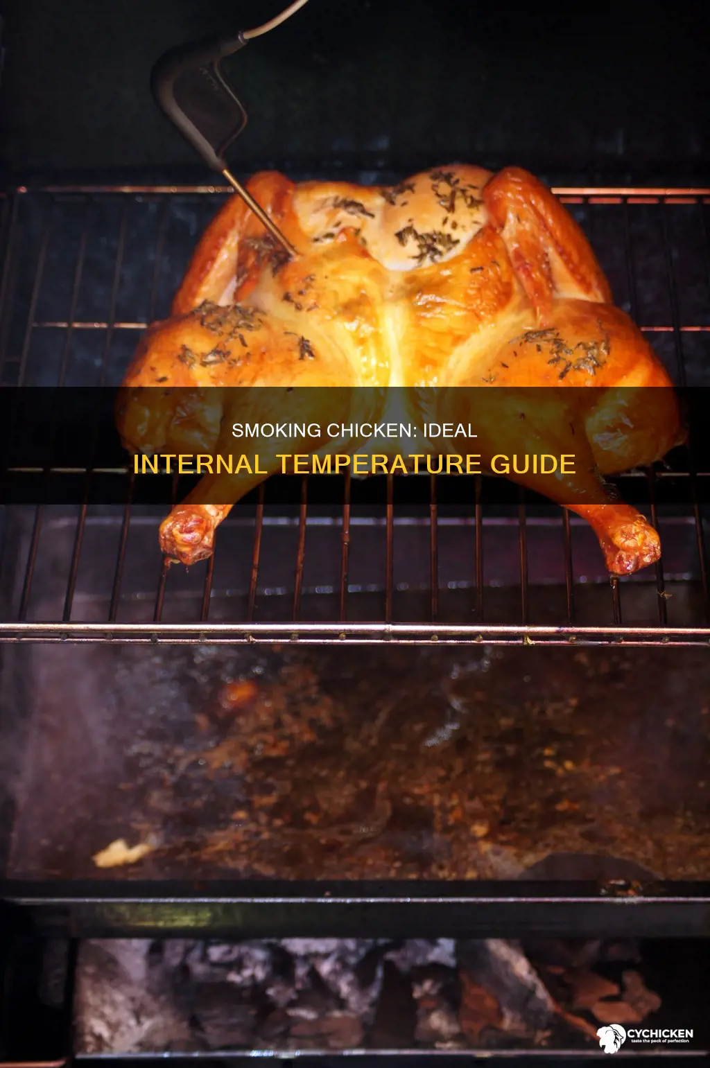 Smoking Chicken: Ideal Internal Temperature Guide | CyChicken