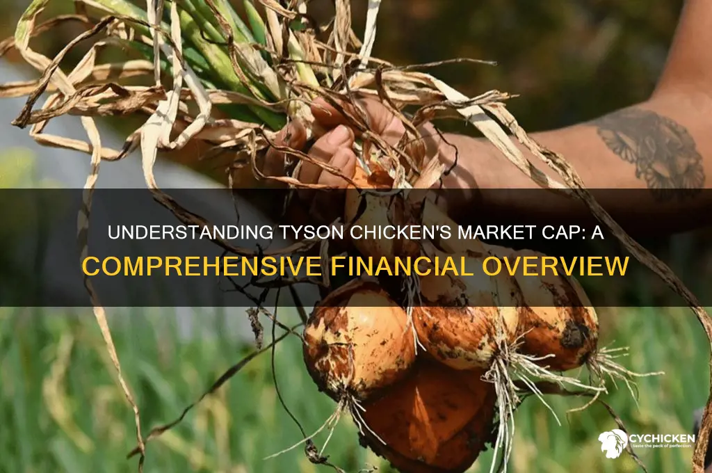 Understanding Tyson Chicken's Market Cap: A Comprehensive Financial ...