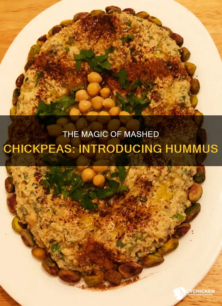 The Magic Of Mashed Chickpeas: Introducing Hummus | CyChicken