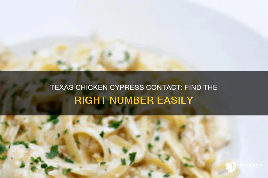 Texas Chicken Cypress Contact: Find The Right Number Easily | CyChicken