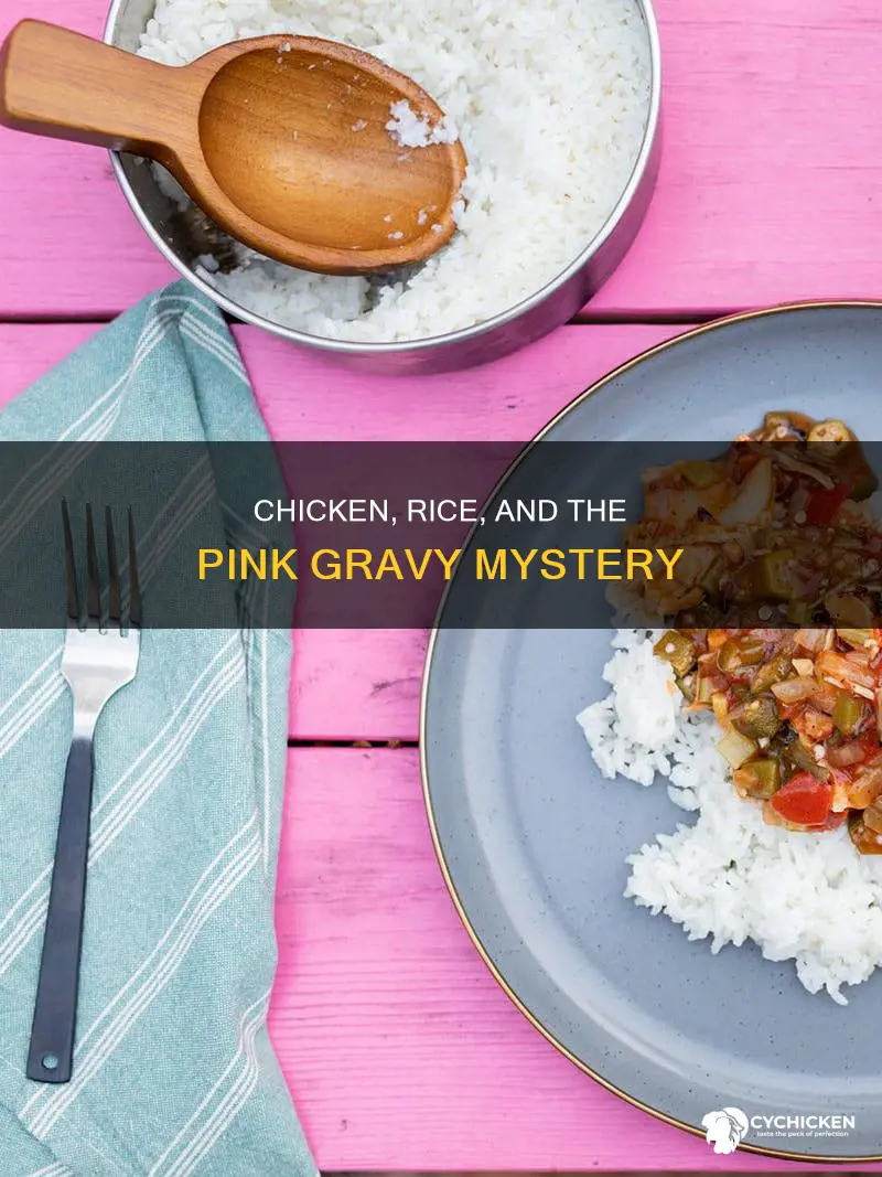 Chicken, Rice, And The Pink Gravy Mystery | CyChicken
