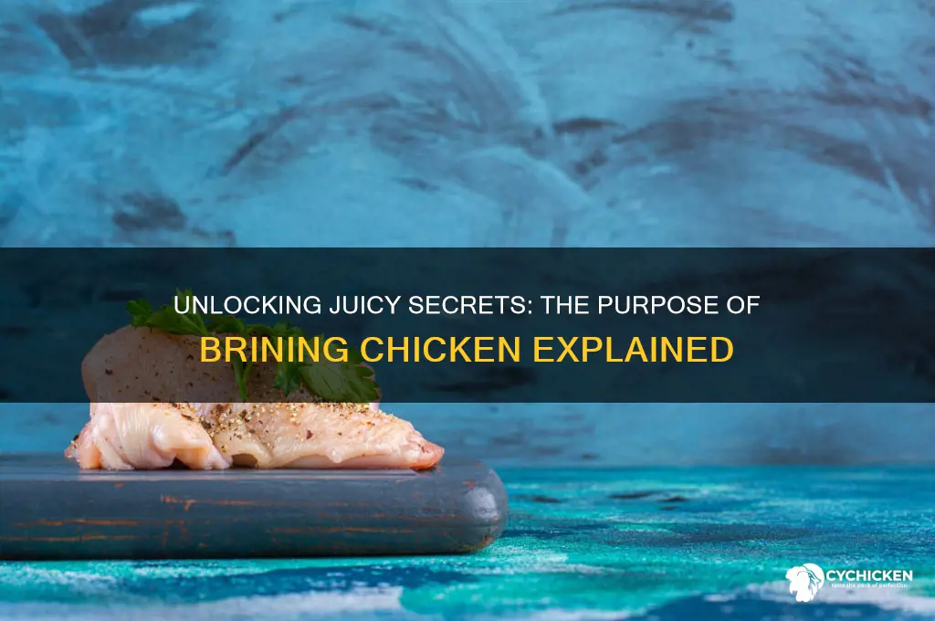 Unlocking Juicy Secrets: The Purpose Of Brining Chicken Explained ...