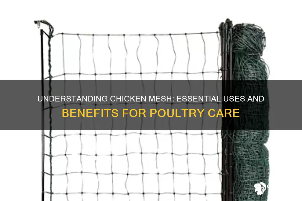 Understanding Chicken Mesh: Essential Uses And Benefits For Poultry ...