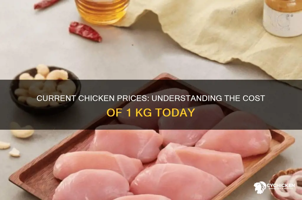 Current Chicken Prices: Understanding The Cost Of 1 Kg Today | CyChicken