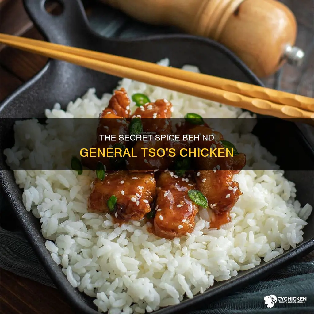 The Secret Spice Behind General Tso's Chicken | CyChicken