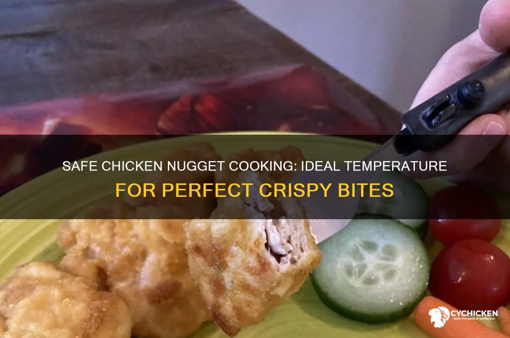 Safe Chicken Nugget Cooking: Ideal Temperature For Perfect Crispy Bites ...