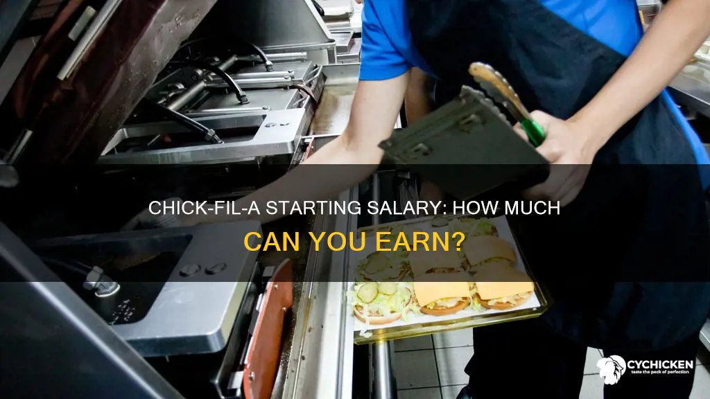Chick-Fil-A Starting Salary: How Much Can You Earn? | CyChicken