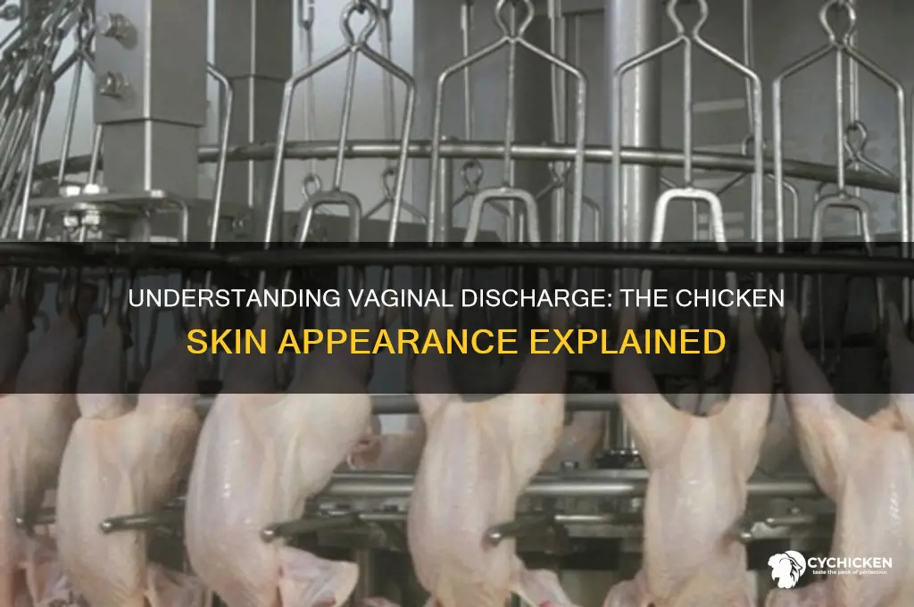 Understanding Vaginal Discharge: The Chicken Skin Appearance Explained ...