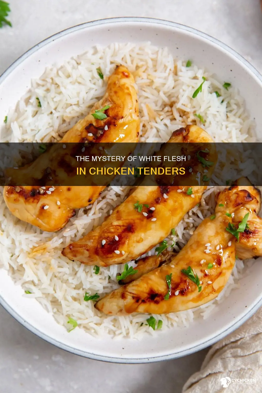 The Mystery Of White Flesh In Chicken Tenders | CyChicken