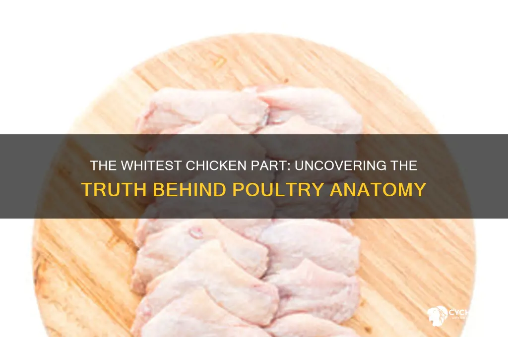 The Whitest Chicken Part: Uncovering The Truth Behind Poultry Anatomy ...