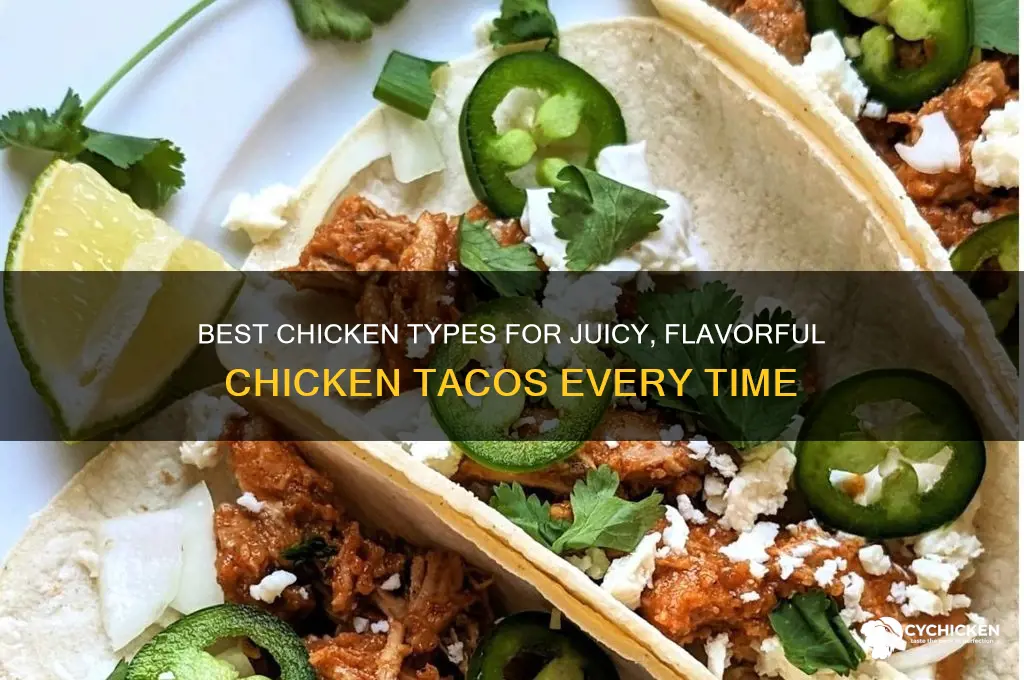 Best Chicken Types For Juicy, Flavorful Chicken Tacos Every Time ...