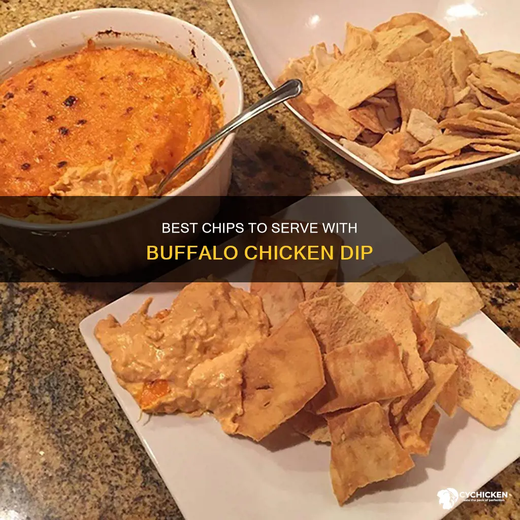 Best Chips To Serve With Buffalo Chicken Dip | CyChicken