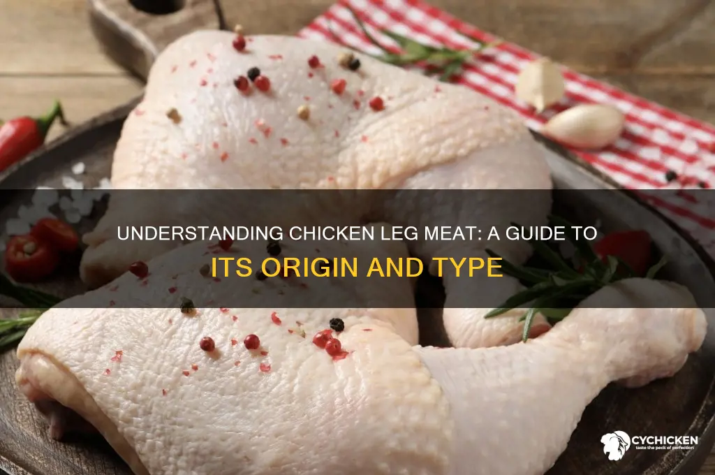Understanding Chicken Leg Meat: A Guide To Its Origin And Type | CyChicken