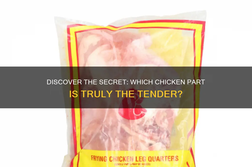 Discover The Secret: Which Chicken Part Is Truly The Tender? | CyChicken
