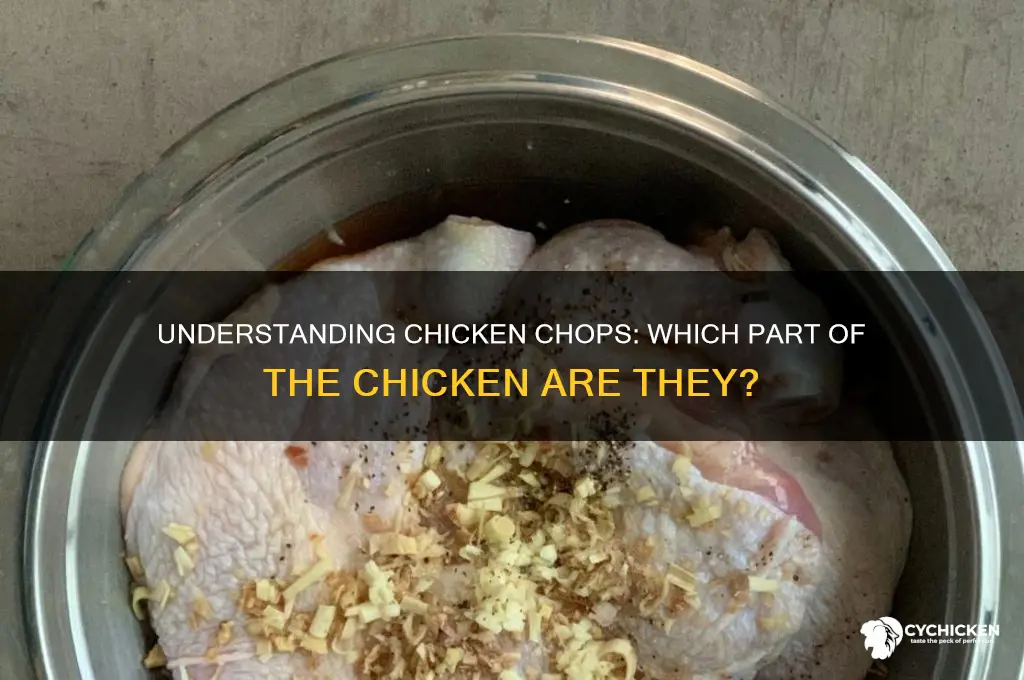 Understanding Chicken Chops: Which Part Of The Chicken Are They ...