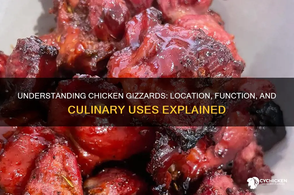 Understanding Chicken Gizzards: Location, Function, And Culinary Uses ...