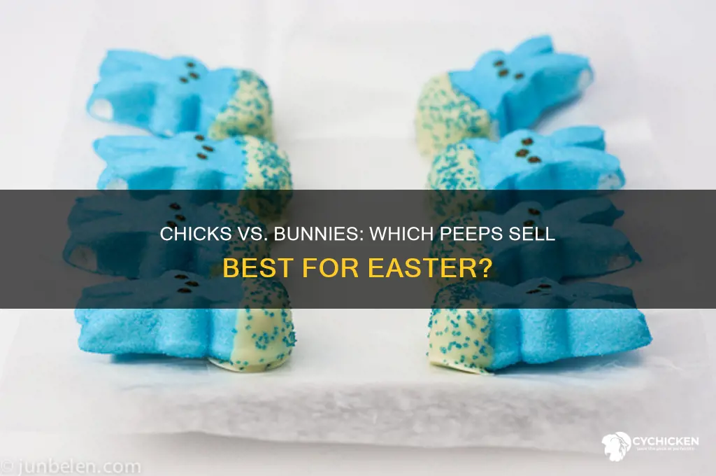 Chicks Vs. Bunnies: Which Peeps Sell Best For Easter? | CyChicken