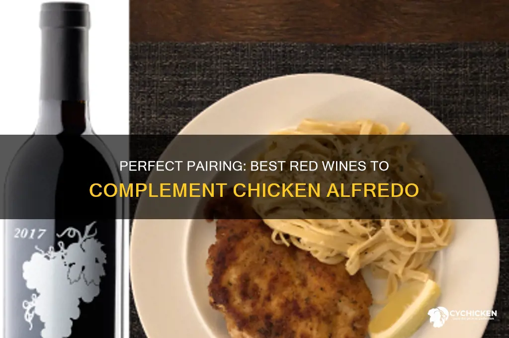 Perfect Pairing: Best Red Wines To Complement Chicken Alfredo | CyChicken