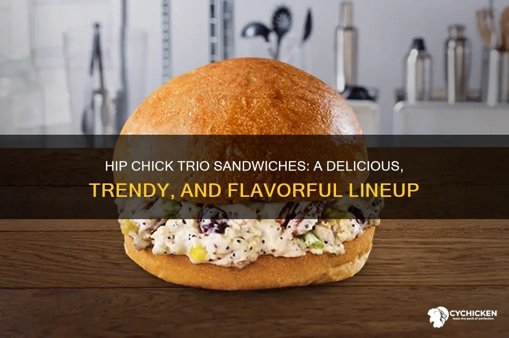 Hip Chick Trio Sandwiches: A Delicious, Trendy, And Flavorful Lineup ...