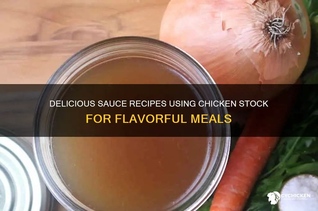 Delicious Sauce Recipes Using Chicken Stock For Flavorful Meals | CyChicken