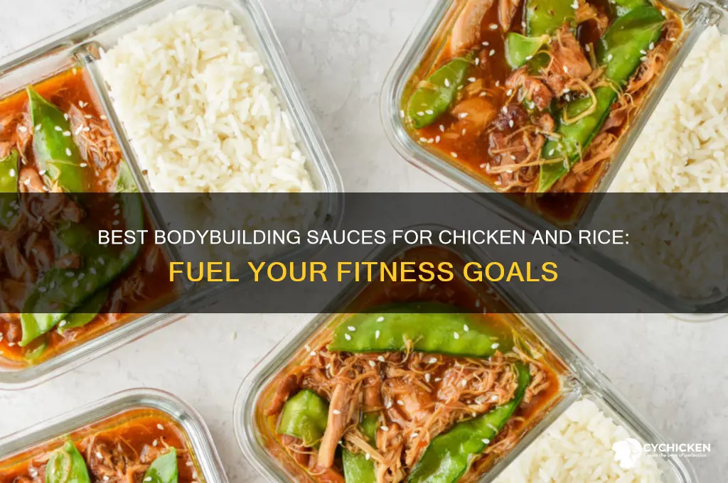 Best Bodybuilding Sauces For Chicken And Rice: Fuel Your Fitness Goals ...
