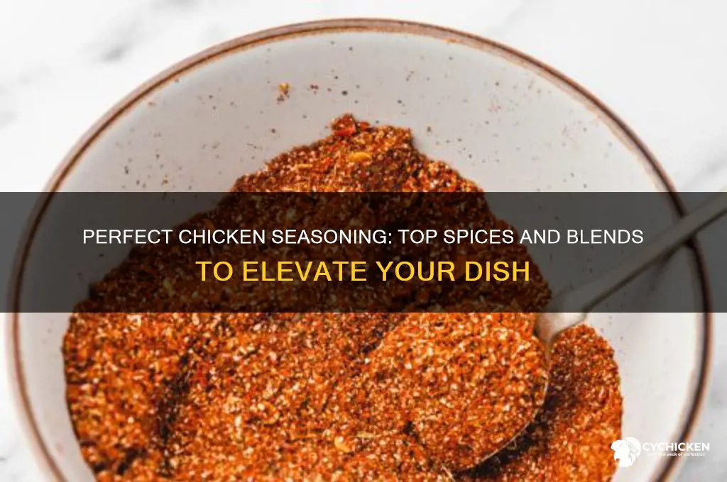 Perfect Chicken Seasoning: Top Spices And Blends To Elevate Your Dish ...