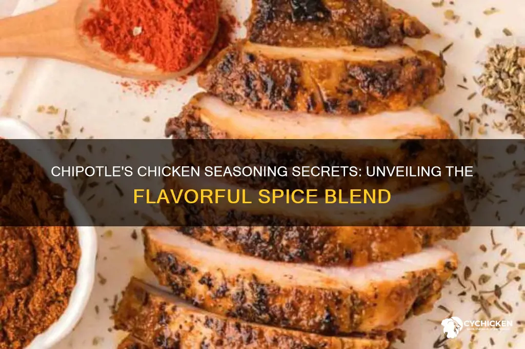 Chipotle's Chicken Seasoning Secrets: Unveiling The Flavorful Spice ...