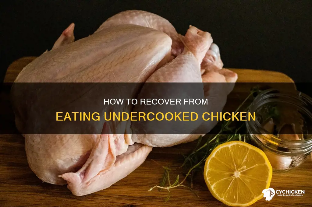 How To Recover From Eating Undercooked Chicken | CyChicken