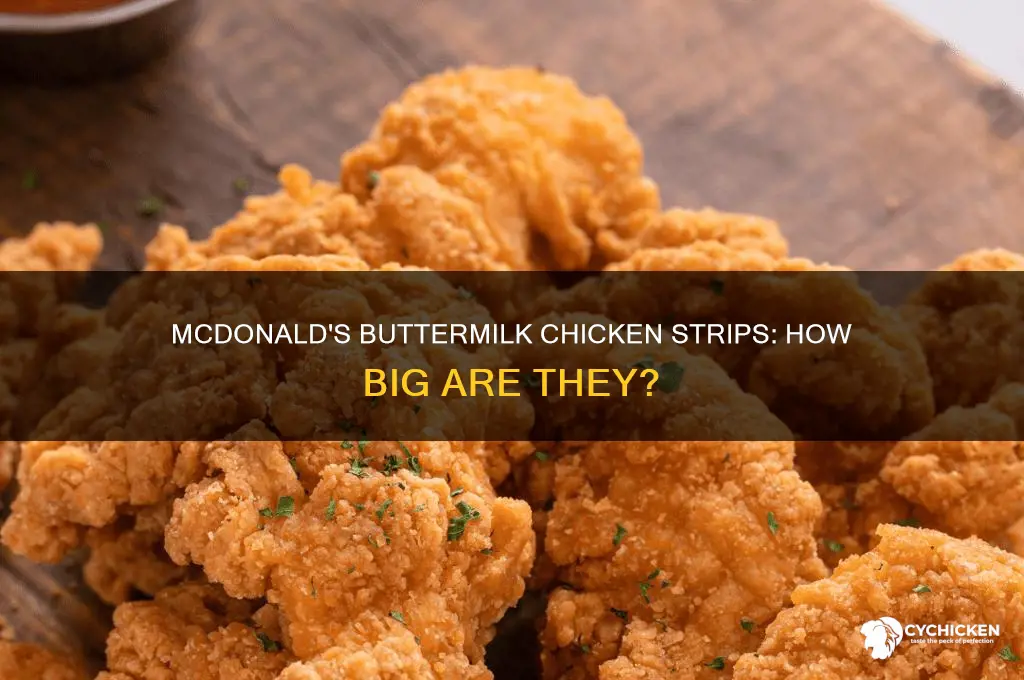 Mcdonald's Buttermilk Chicken Strips: How Big Are They? | CyChicken